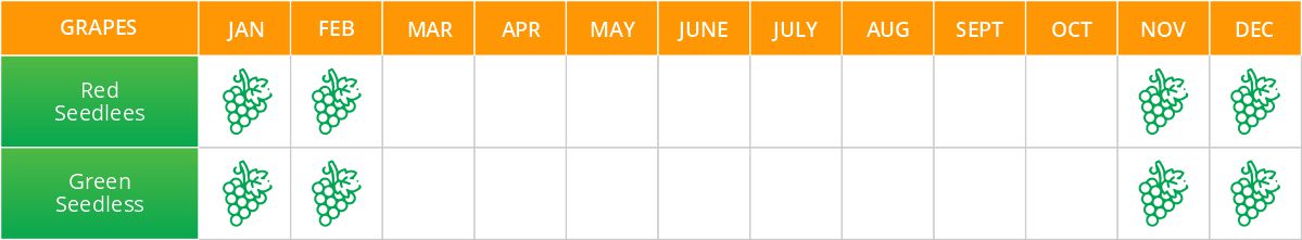 THE FRESH SPECIALIST – The Fresh Specialist